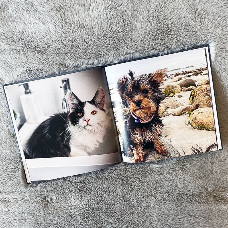 Personalised Dog Photo Book – Custom 24-Page Dog Album | Jigpaws